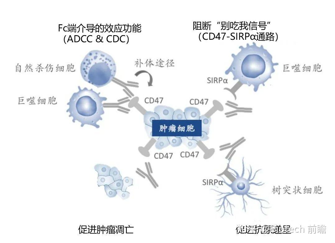 宜明昂科上市未破发丨国内二代CD47单抗的潜力玩家 - 知乎