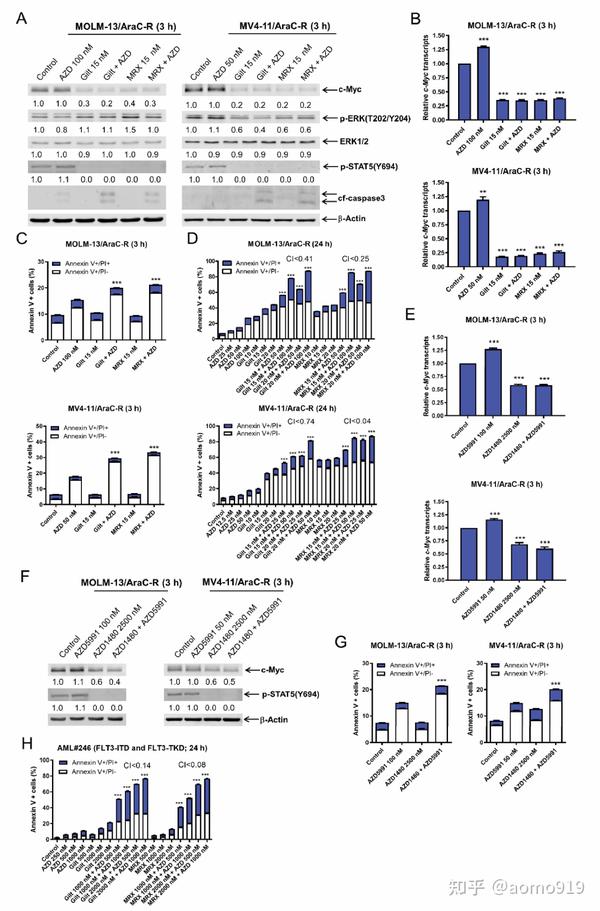 AbMole科研-抑制Mcl-1协同增强Gilteritinib和MRX-2843在FLT3突变AML临床前模型中的抗白血病活性 - 知乎