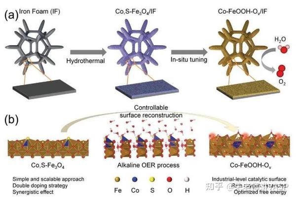 【DFT+实验】Small：Co, S-Fe3O4/IF高效催化OER - 知乎