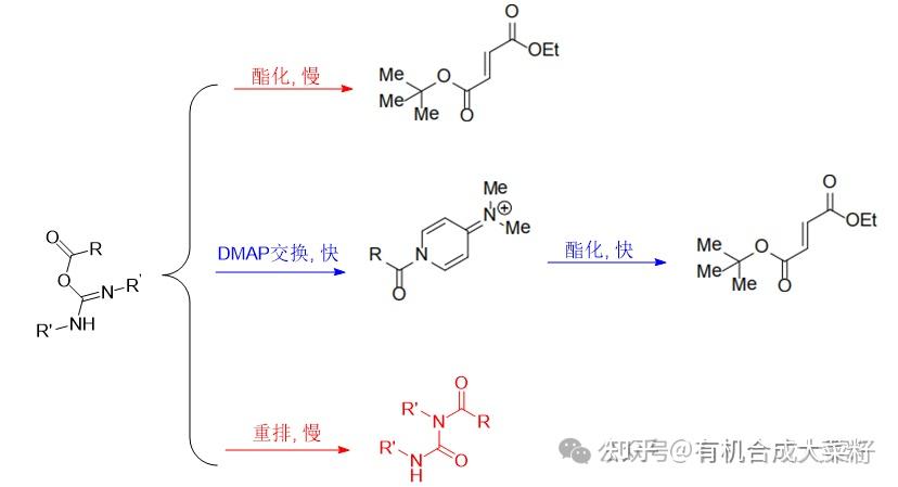 机理突破挑战（7）——Steglich酯化反应 - 知乎
