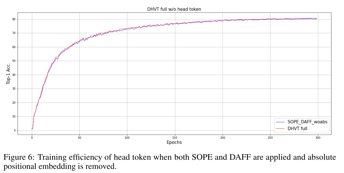 Bridging the Gap Between Vision Transformers and Convolutional Neural ...