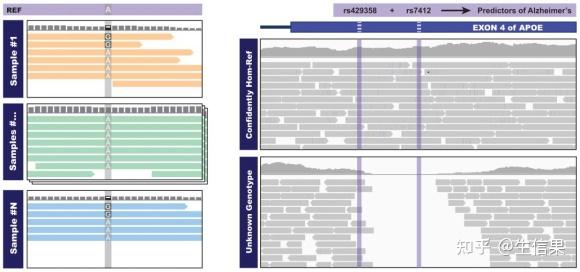 小果带你探索GATK-HaplotypeCaller 变异检测原理 - 知乎