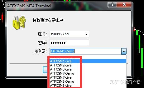 如何解决烦人的 MT4 连接问题（5 种方法） - 知乎