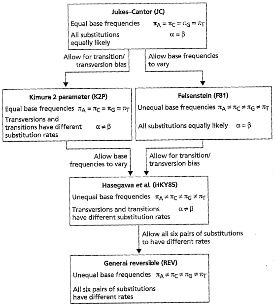 序列差异和dN/dS的计算 - 知乎