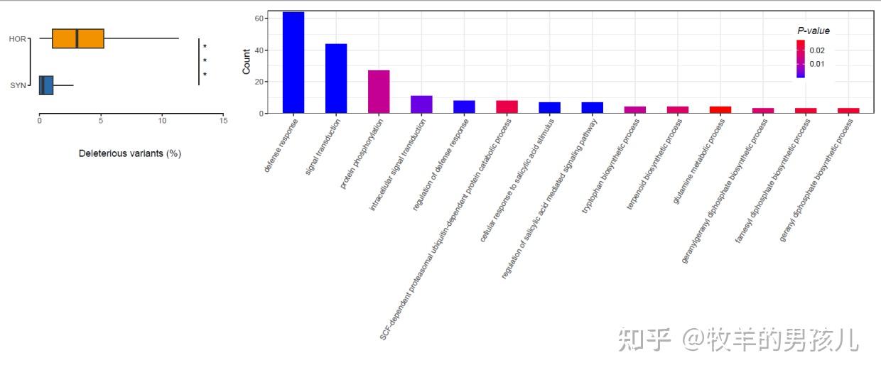 跟着Nature Communications学作图：R语言ggplot2柱形图展示GO富集分析的结果 - 知乎