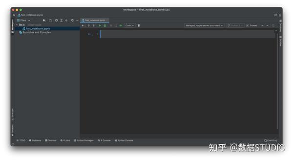 再见 Jupyter Notebook Dataspell起飞！ 知乎 