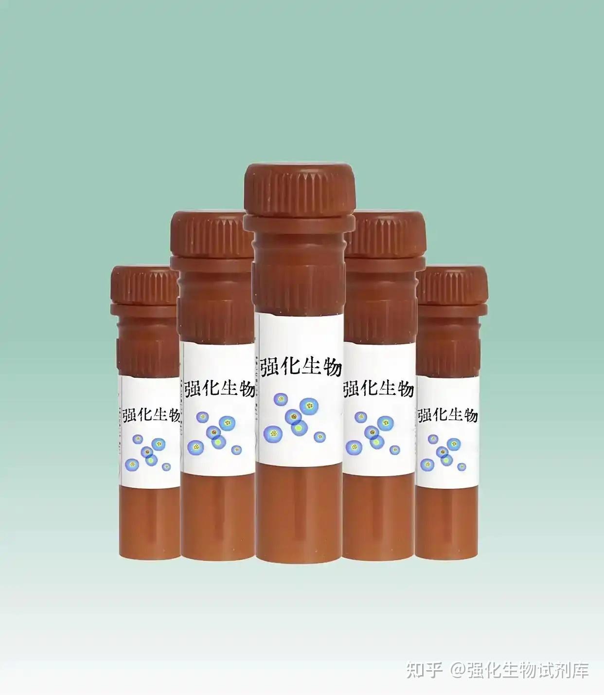 Fc Receptor Blocking Solution, Mouse 小鼠Fc受体阻断剂的 使用步骤 - 知乎