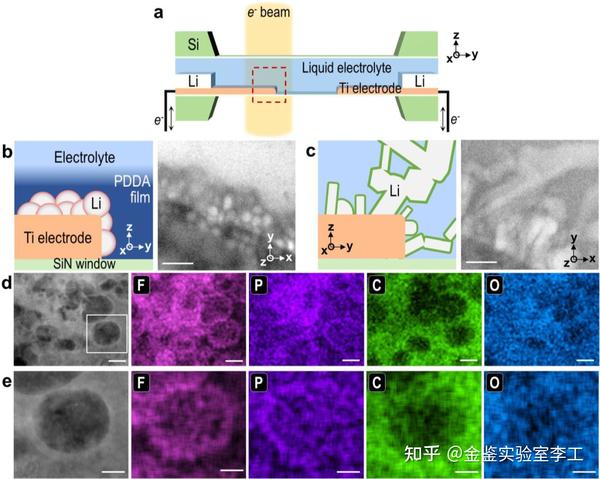 金鉴李工：原位电化学液体电池TEM揭示锂金属剥离机制 - 知乎