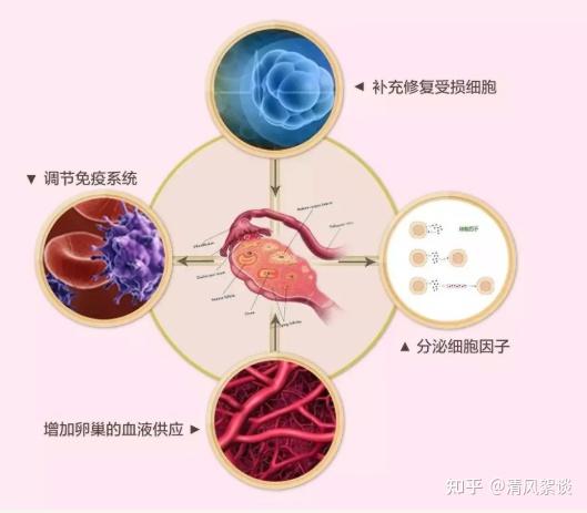 fsh值高该怎么调理，疑惑fsh8点多正常吗？ - 知乎