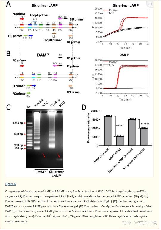一种优于LAMP的双引物等温扩增（DAMP）法介绍 - 知乎