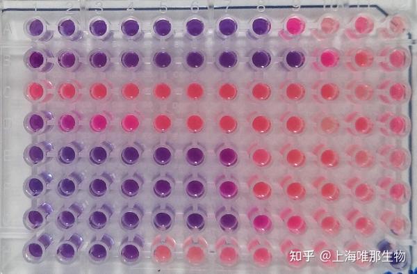 抗菌药物敏感性检测方法对比 - 知乎