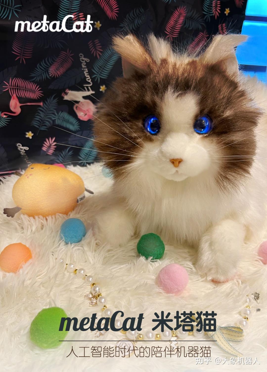 喵~ 大象机器人再添新宠：陪伴宠物米塔﻿猫﻿metaCat超萌上线，硬科技也可以柔软治愈 - 知乎
