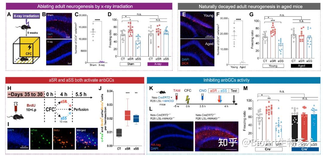 Sci Adv | 钟毅团队阐释情绪状态相关的记忆提取适应性的神经机制 - 知乎