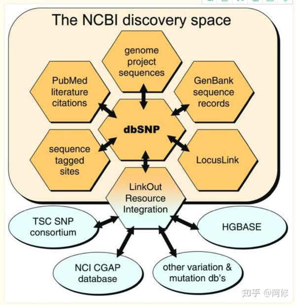 dbSNP 数据库 - 知乎