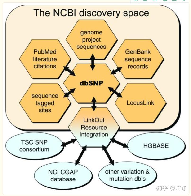 dbSNP 数据库 - 知乎
