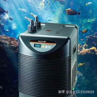 海利冷水机HC系列 鱼缸制冷机 水族 海鲜池 制冷 降温 水冷设备 - 知乎