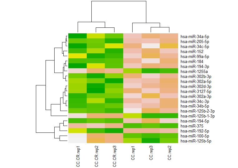 【R语言】热图绘制-heatmap函数+默认配色方案 - 知乎
