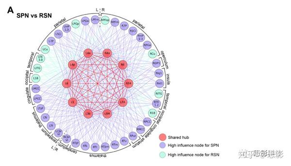 PLOS Biology：语言控制的功能连接组 - 知乎