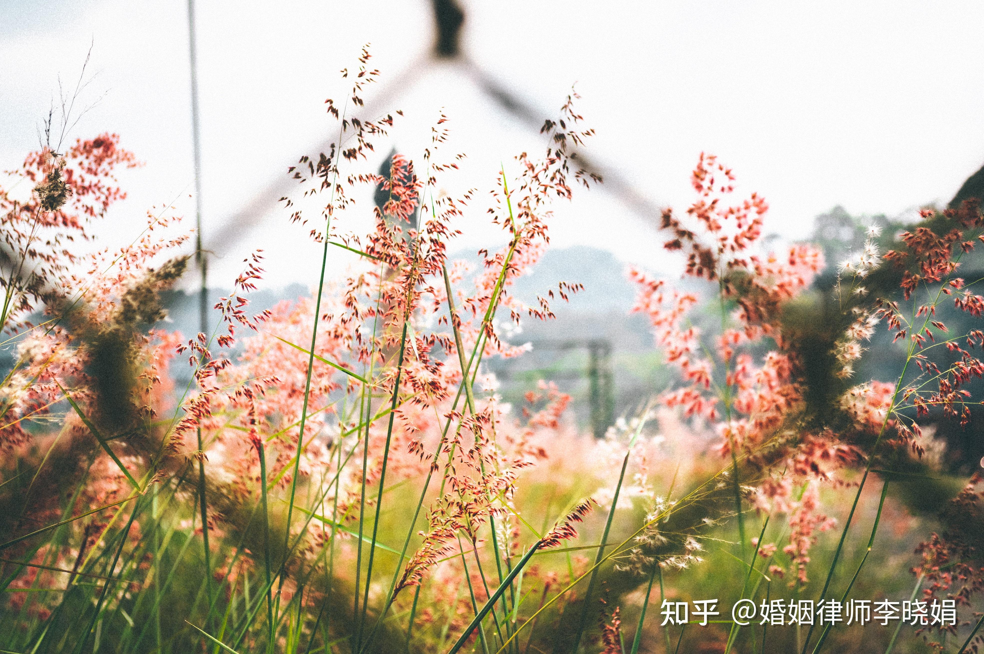 离婚案件中,分床睡不能证明分居。 知乎