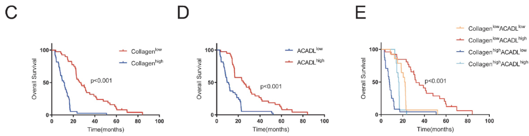 Q1区10分+单细胞联合bulk RNA！聚焦热点方向“代谢”，打造生信分析文章新高度！ - 知乎