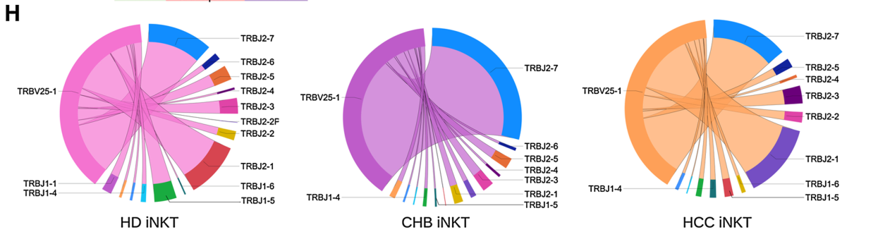 项目文章｜iNKT细胞免疫疗法疗效不佳？都是iNKT细胞衰老惹的祸！ - 知乎