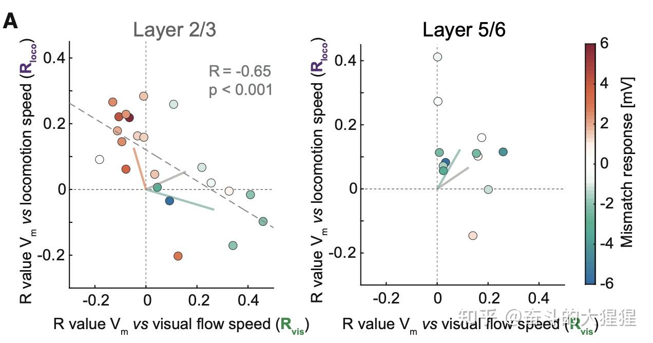 关于预测性编码(Predictive Coding)常见的几点误解 - 知乎