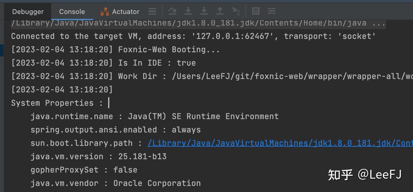 Foxnic-Web —— 参数体系 - 知乎