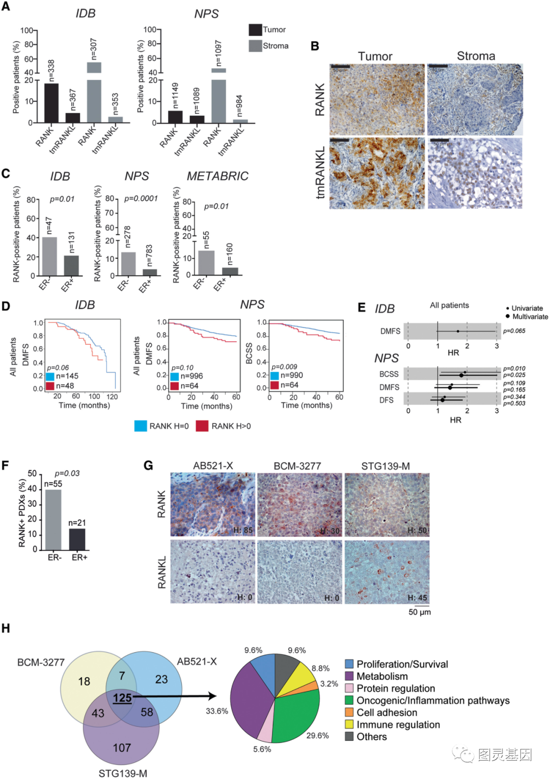 EMBO Mol Med | RANK是ER-乳腺癌的不良预后标志物和治疗靶点 - 知乎