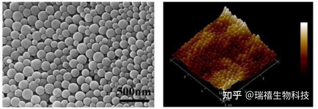 载黄酮类化合物/多肽修饰载紫杉醇/壳寡糖修饰载盐酸川芎嗪/褪黑素/吸附壳聚糖PLGA纳米微球的制备方法 - 知乎