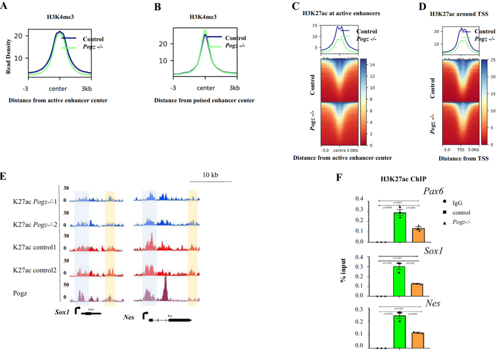 CUT&Tag项目文章丨中科院水生所孙玉华团队解析POGZ调控ESCs干性和神经诱导的分子机制 - 知乎