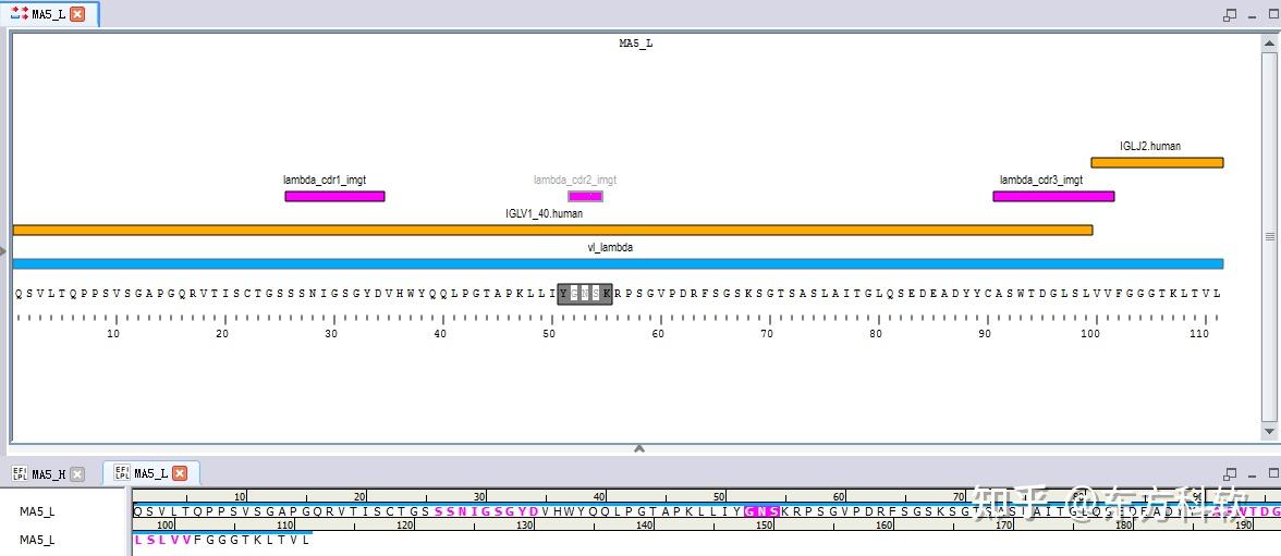 Discovery Studio官方教程（Help-Tutorials） 基于MODELER构建抗体模型 - 知乎