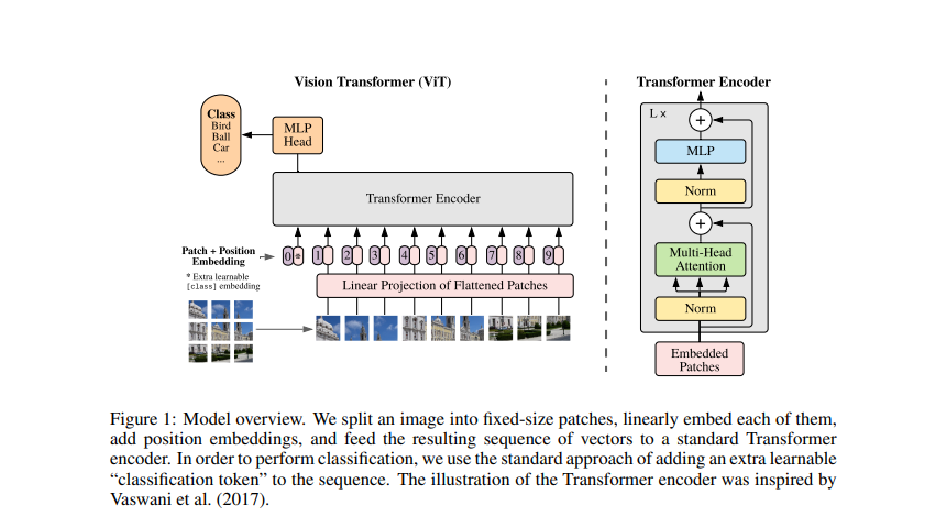 CNN 到 Transformers 演变和vit(Vision Transformer)解读 - 知乎