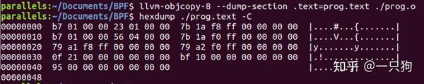 BPF之路二: (e)BPF汇编 - 知乎