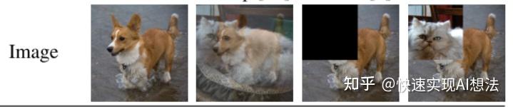 CutMix&Mixup详解与代码实战 - 知乎