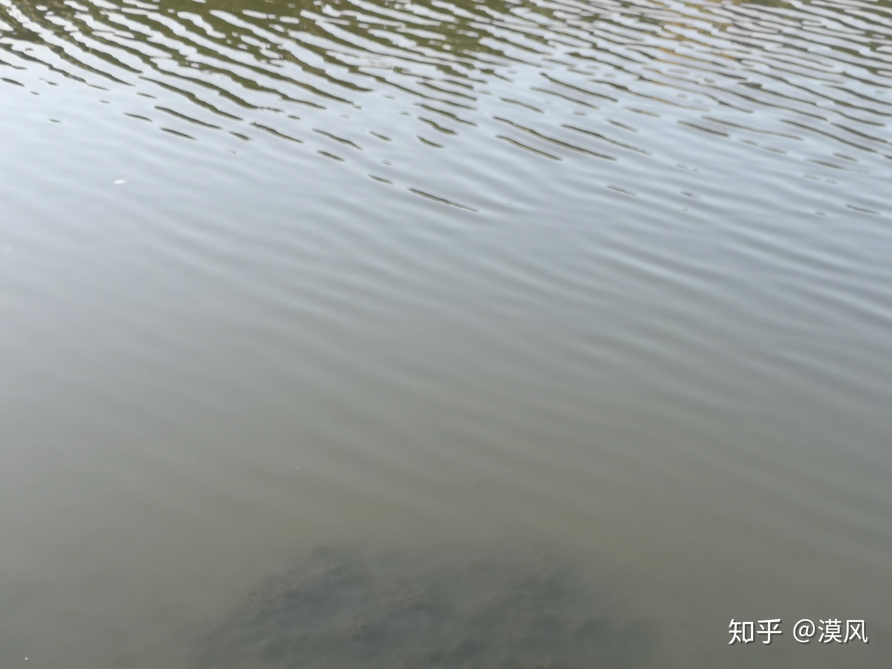 【保持一颗好奇心】关于水面波纹的分界现象，这大概是全网最认真分析的一篇文章了 - 知乎