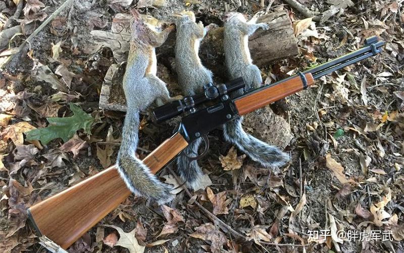 2023年最好的.22 LR 步枪 - 知乎