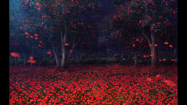 《Erewhon》：最美艳画风，最残酷剧情，钟表社上演日式猎奇美学！ - 知乎