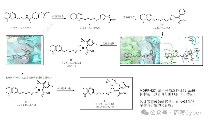 药渡Cyber解析一种用于纤维化的高选择性、构象偏倚的两性离子整合素αvβ6抑制剂：MORF-627的发现 - 知乎