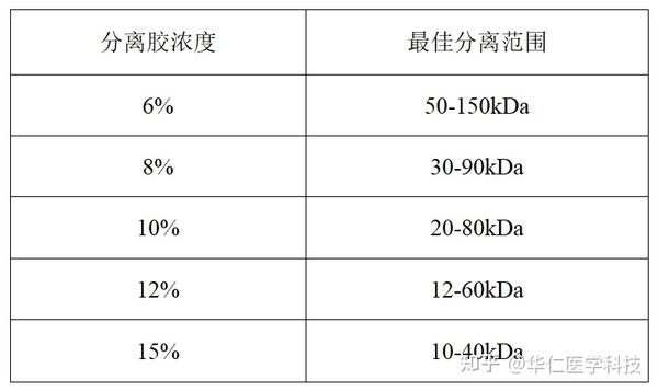 从青铜到王者，科研小白的进阶之路（1）——Western Blot实验教程 - 知乎