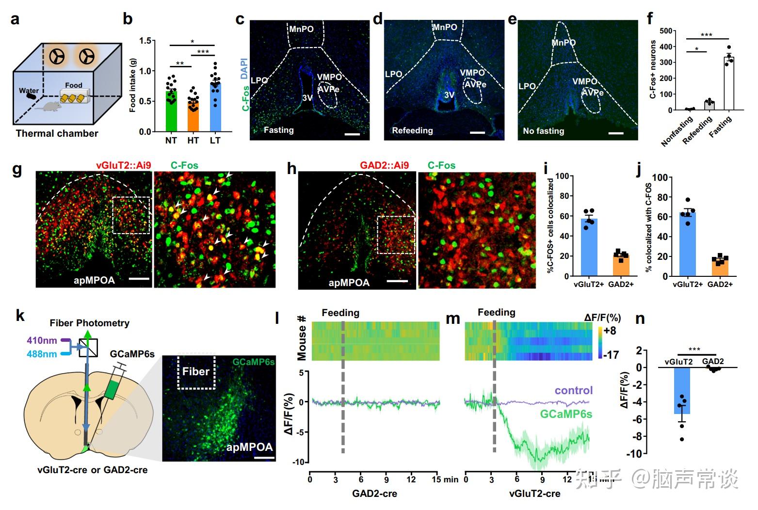 内侧视前区（MPOA）两类神经环路协调摄食行为应对环境温度变化 - 知乎