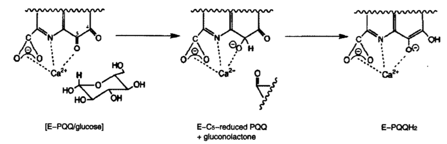 PQQ（吡咯喹啉醌） - 知乎