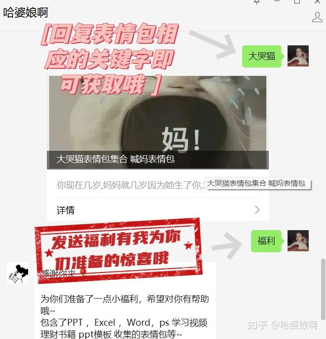 happy cat动态表情包 太可爱了吧 - 知乎