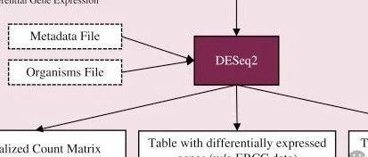 DESeq2分析出来的矫正p值会有很多的缺失值? - 知乎