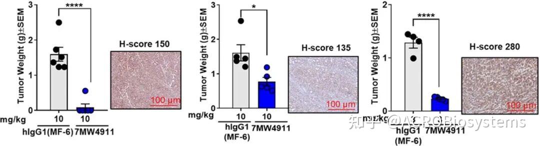 CDH17靶向药物崛起：IHC验证驱动消化道癌治疗突破 - 知乎