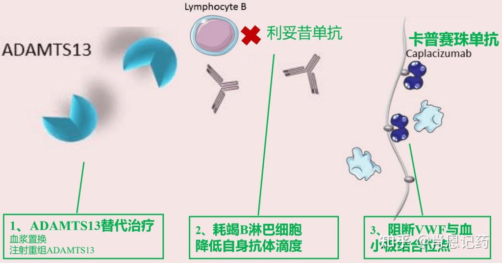 如何记住所有FDA批准生物药？| 纳米抗体 | Caplacizumab 卡普赛珠单抗 | 获得性血栓性血小板减少性紫癜aTTP - 知乎