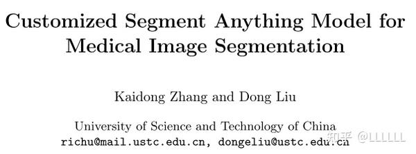 SAMed:Customized Segment Anything Model for Medical Image Segmentation - 知乎