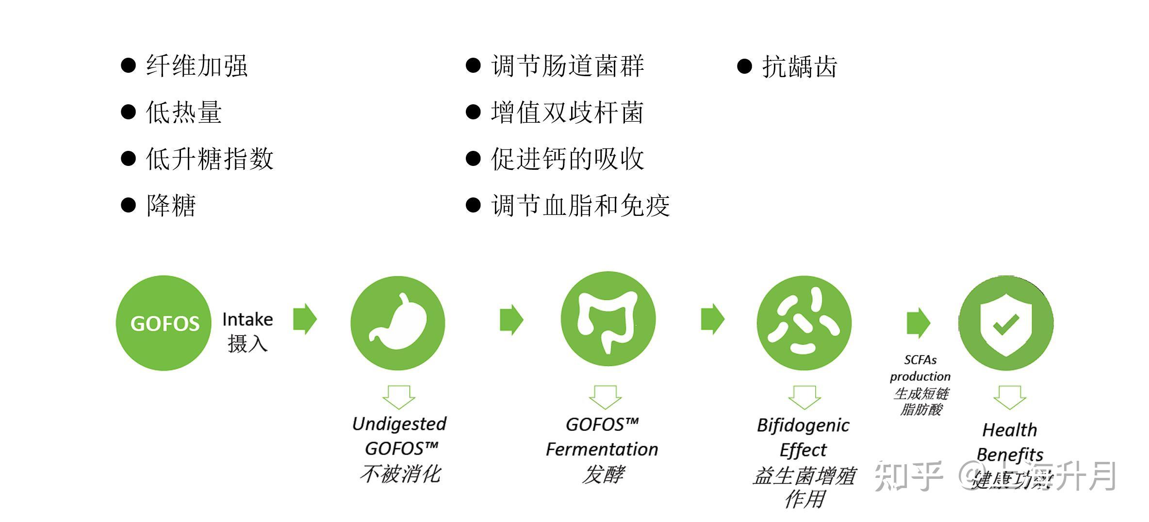 GALAM 低聚果糖介绍 - 知乎