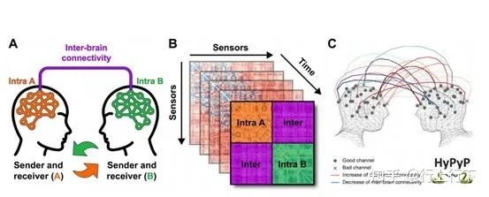 干货｜HyPyP：用于脑内连接分析的超扫描Python方式 - 知乎