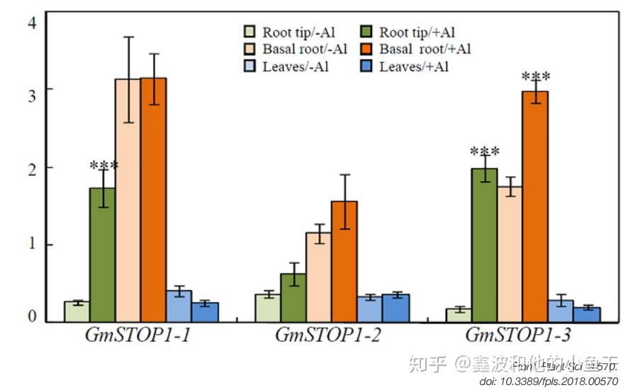 抗酸性土壤铝毒害的关键转录因子——STOP1 - 知乎