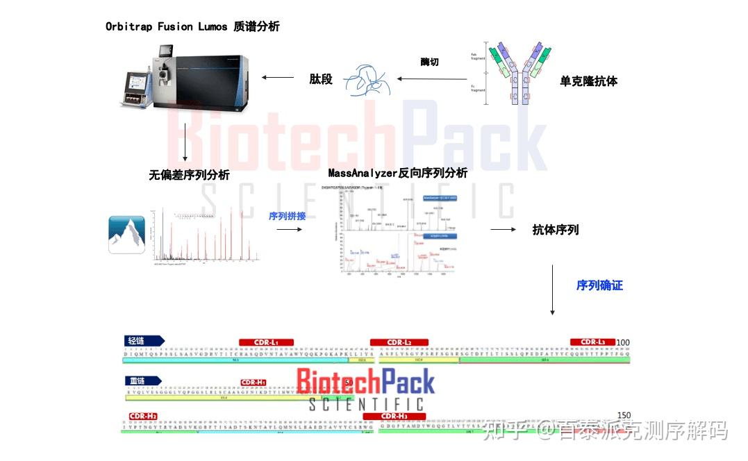 抗体CDR区序列分析：如何揭示其与抗原的特异性？ - 知乎
